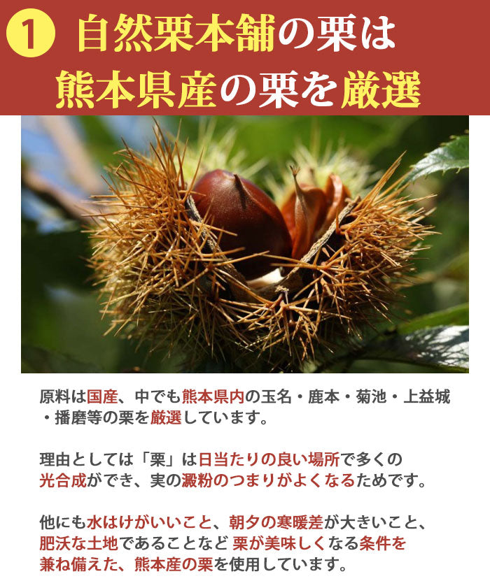 国産 熊本県産 栗 渋皮煮 自然栗・中びん 550g×2 添加物不使用 無添加 自然栗本舗 熊木産業 ギフト – グルメロディお取り寄せグルメ